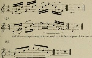 ¿Qué es un compás musical y cómo se clasifican? - inzona